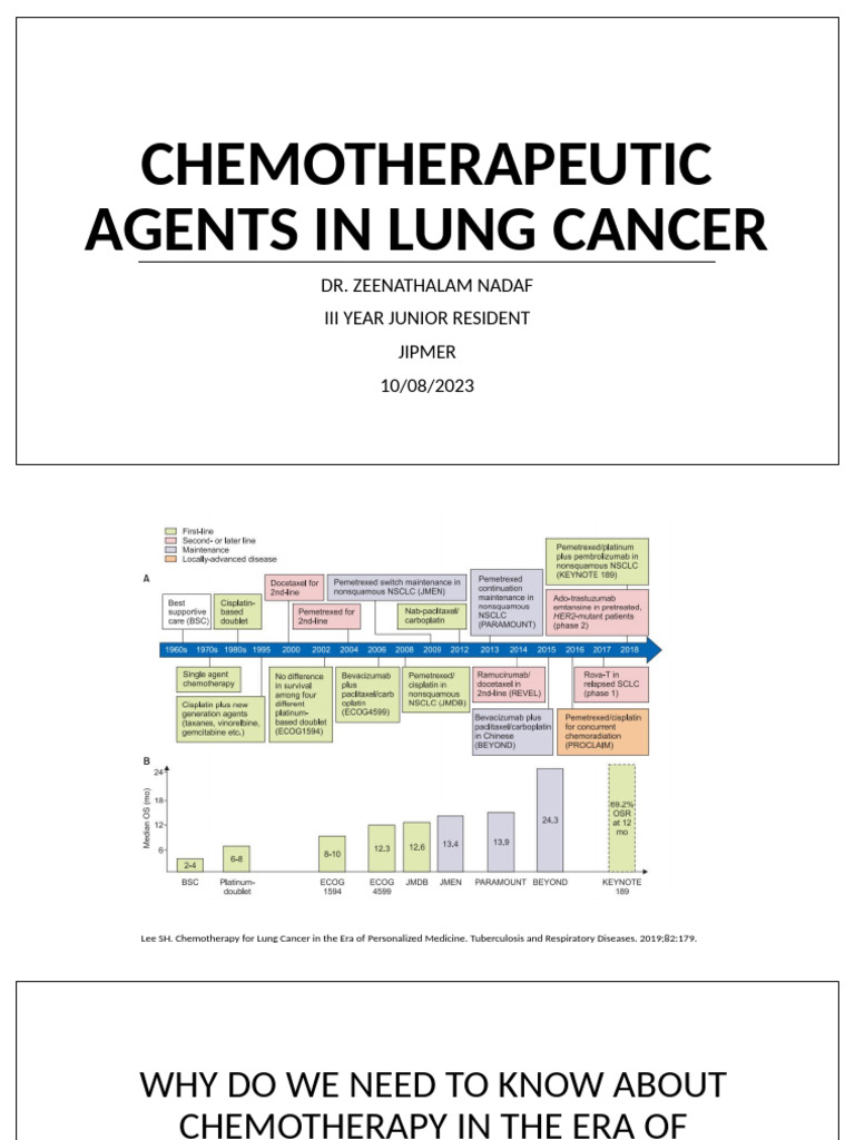 Chemotherapy Strategies for Lung Cancer | PDF | Chemotherapy | Lung Cancer