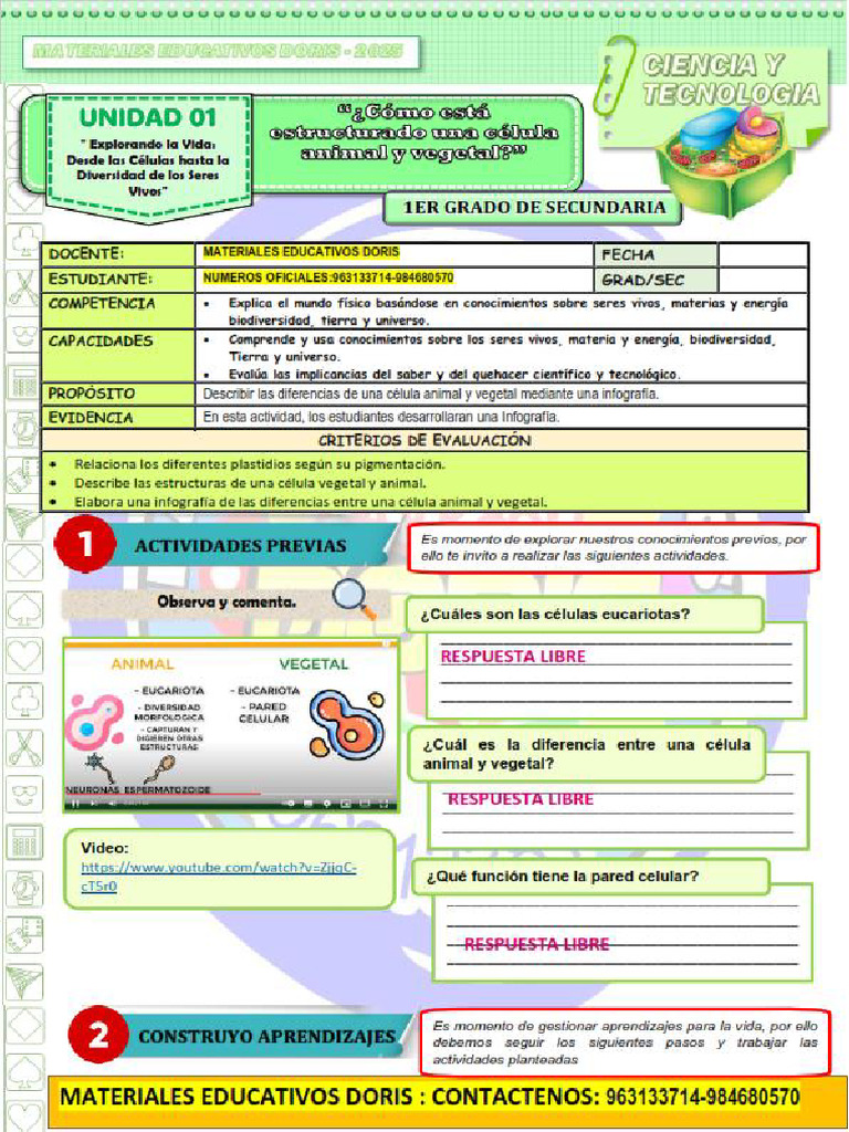 Resolucion Cyt 1°-Ficha 4 | PDF