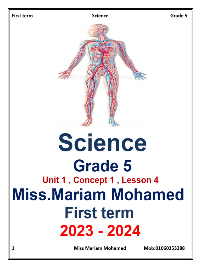 Grade 5 Unit 1 Concept 1 Lesson 4 | PDF | Blood Vessel | Circulatory System