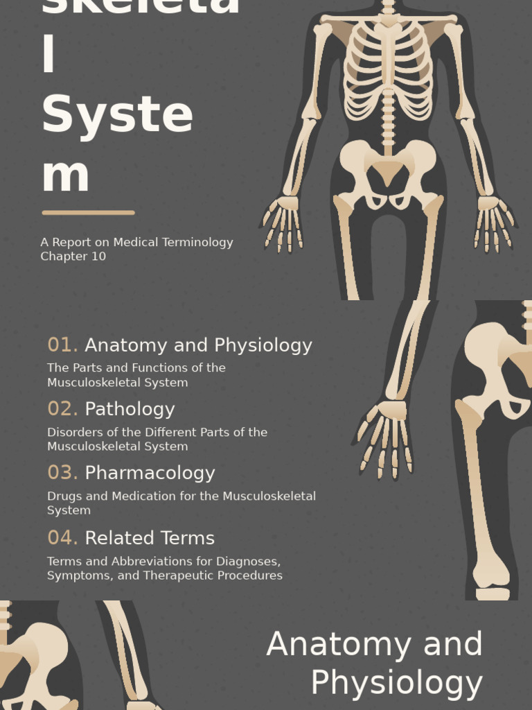 Musculoskeletal System Overview | PDF | Human Musculoskeletal System ...