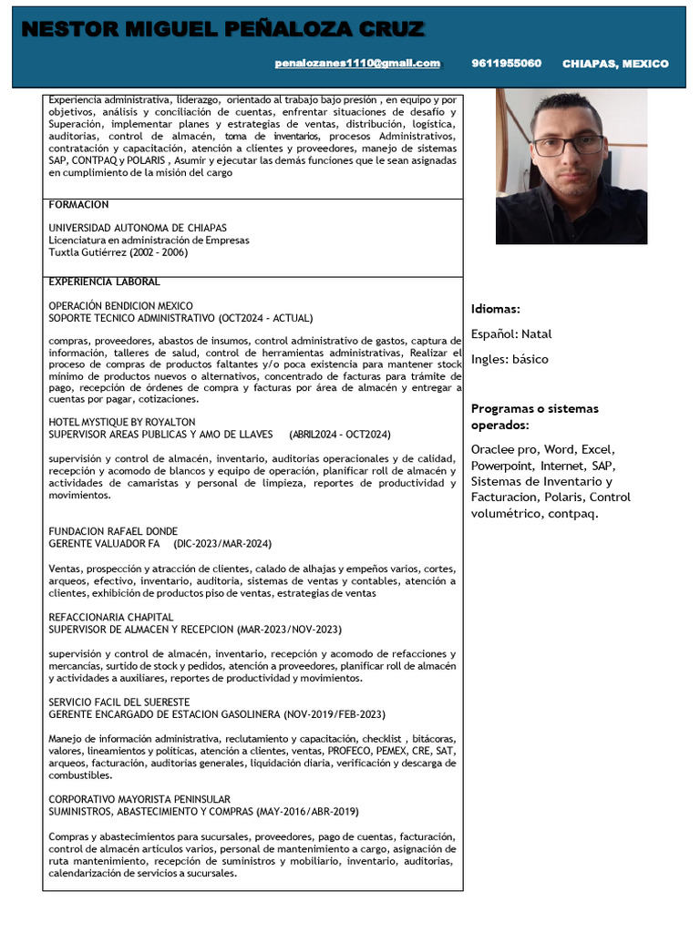CV Nestor | PDF | Logística | Business