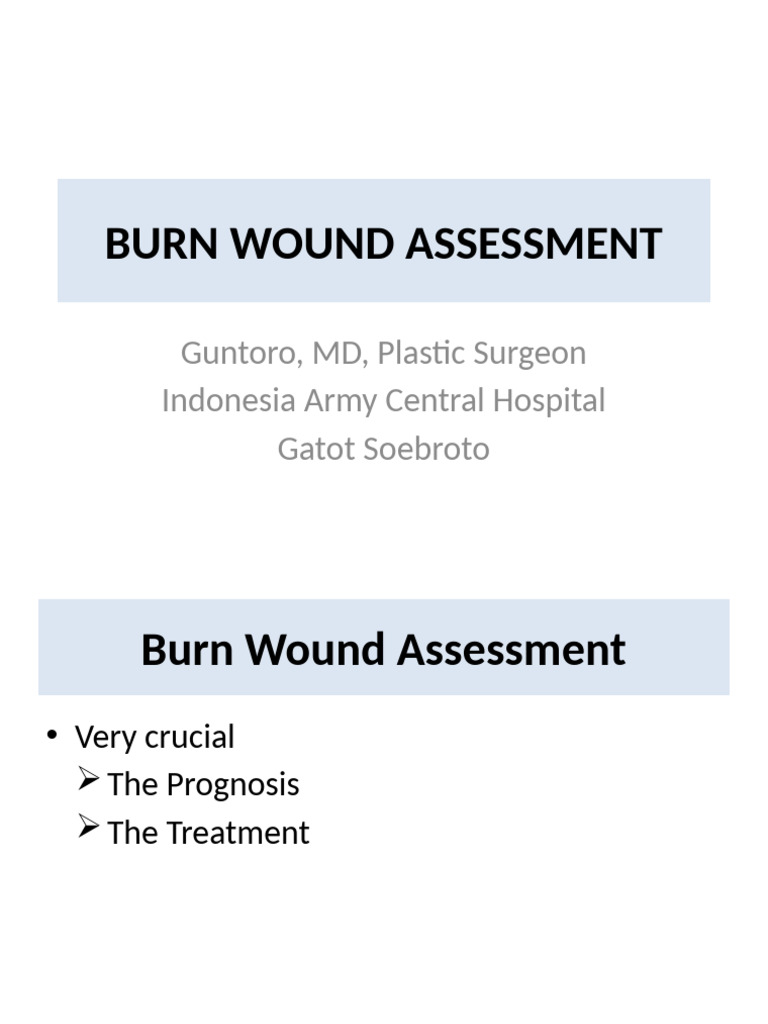 Guntoro, MD - Burn Wound Assessment For Bali Military Congress | PDF ...