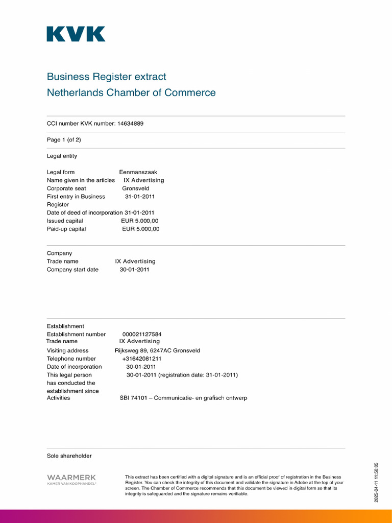 IX Advertising | PDF