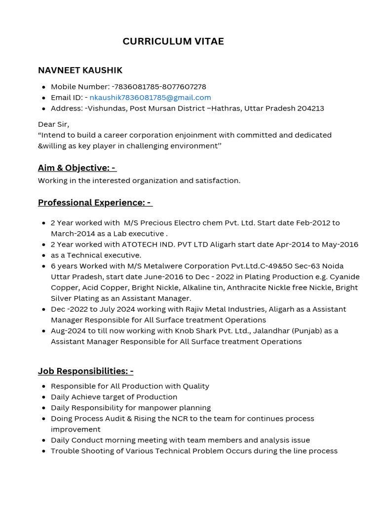 Navneet Kaushik Resume (1) .PDF - 20250105 - 152237 - 0000 | PDF