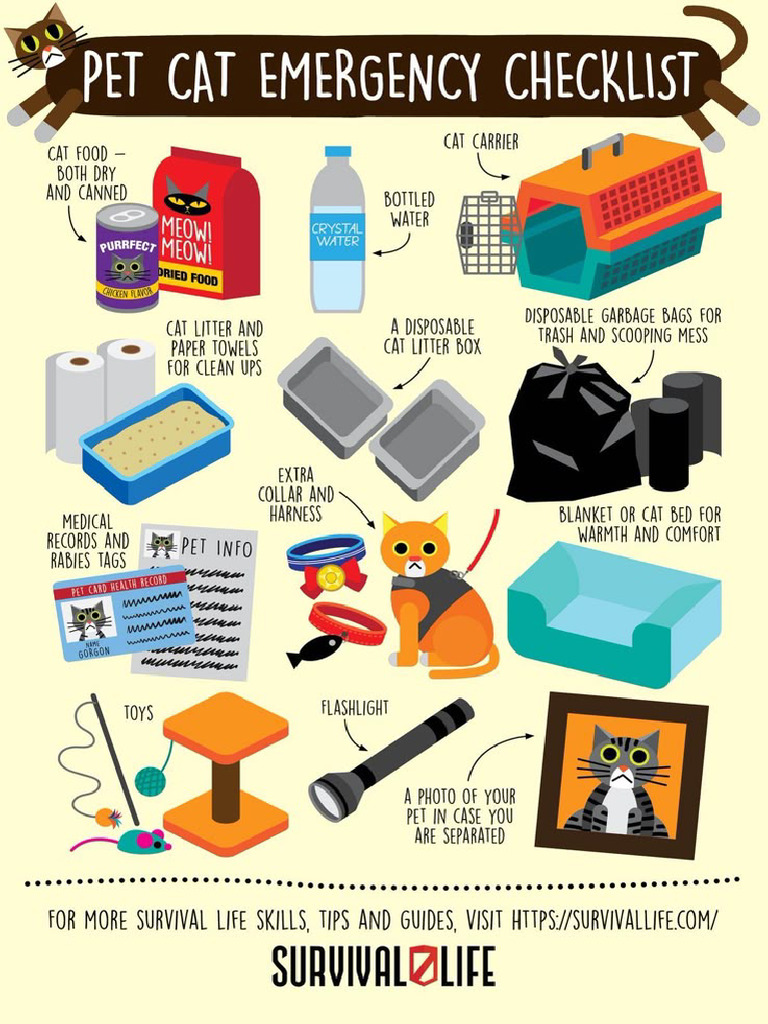 Cat Emergency | PDF