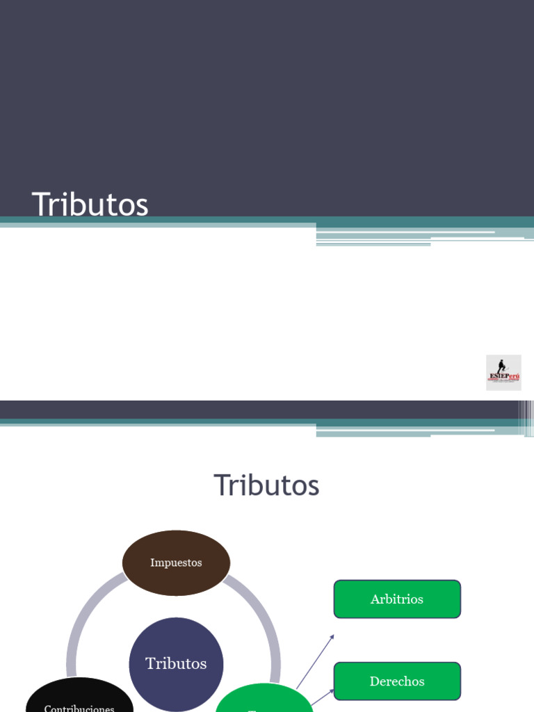 Sesión I Tributos | PDF