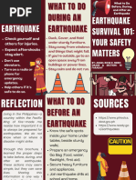 Earthquake Preparedness Guide | PDF | Earthquakes | Seismology