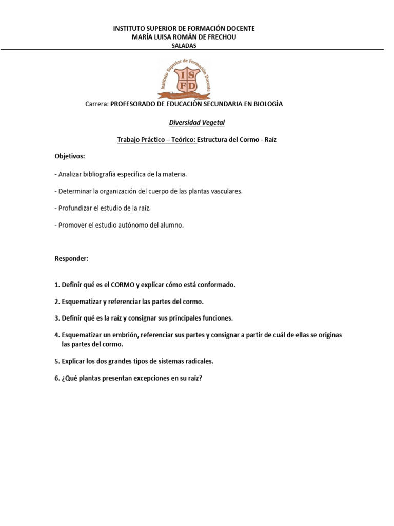 TP Estructura Del Cormo Raiz | PDF