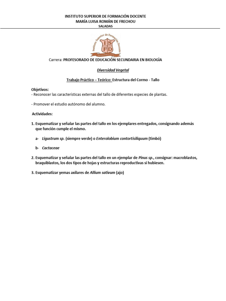 TP Estructura Del Cormo Tallo | PDF