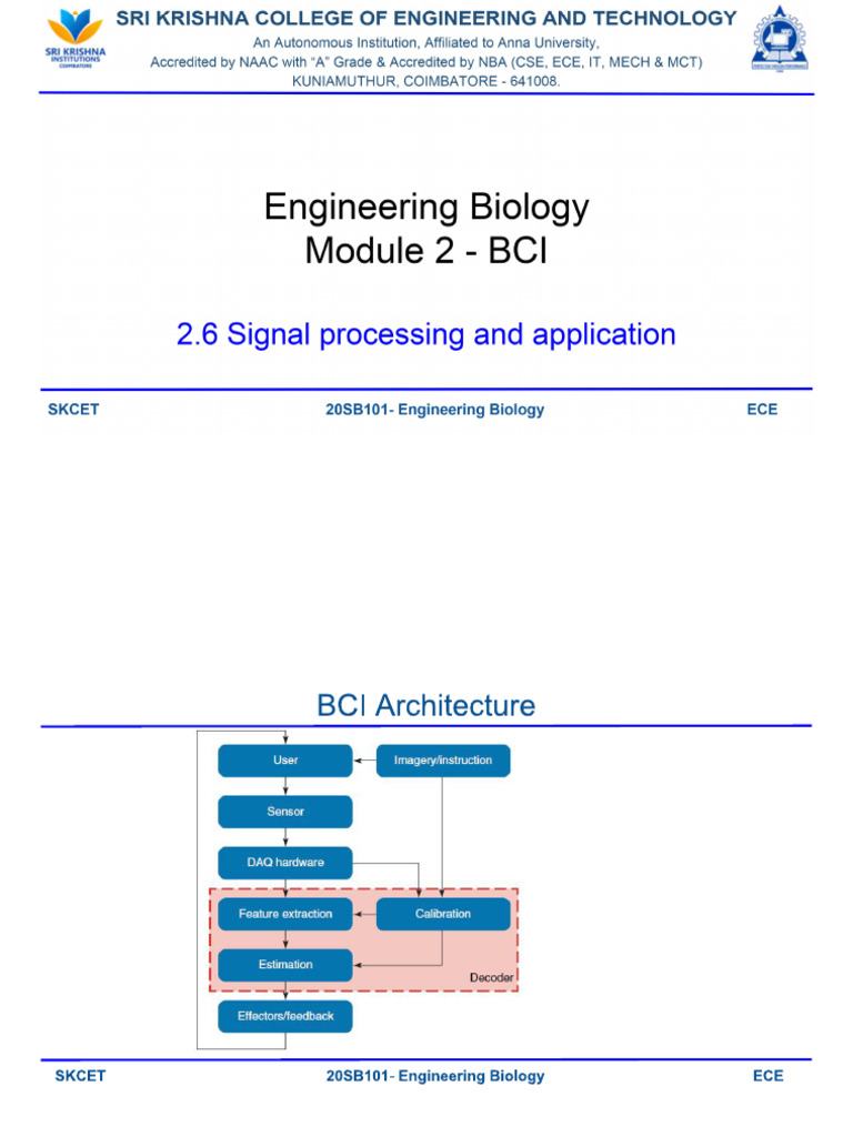 Bci 6 | PDF
