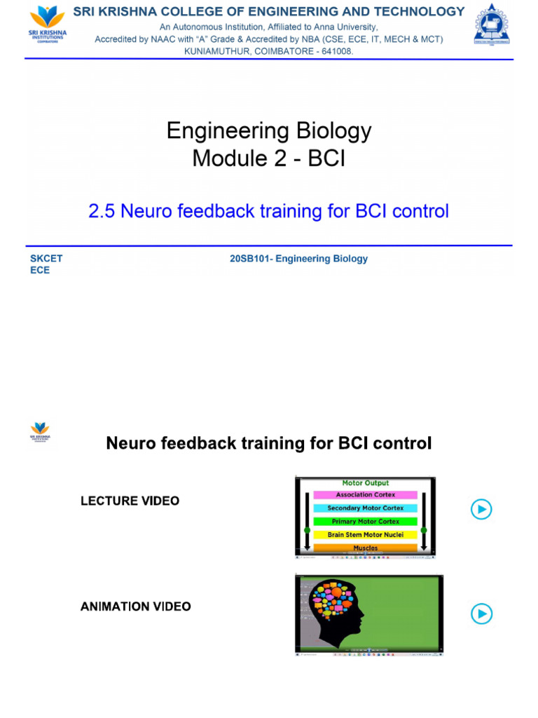 Bci 5 | PDF