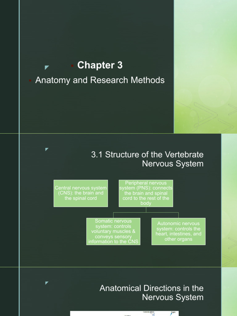 Anatomy and Reserach Methods | PDF | Spinal Cord | Anatomical Terms Of ...