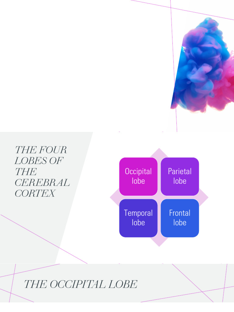 The Four Lobes of The Cerebral Cortex | PDF | Parietal Lobe | Functional Magnetic Resonance Imaging