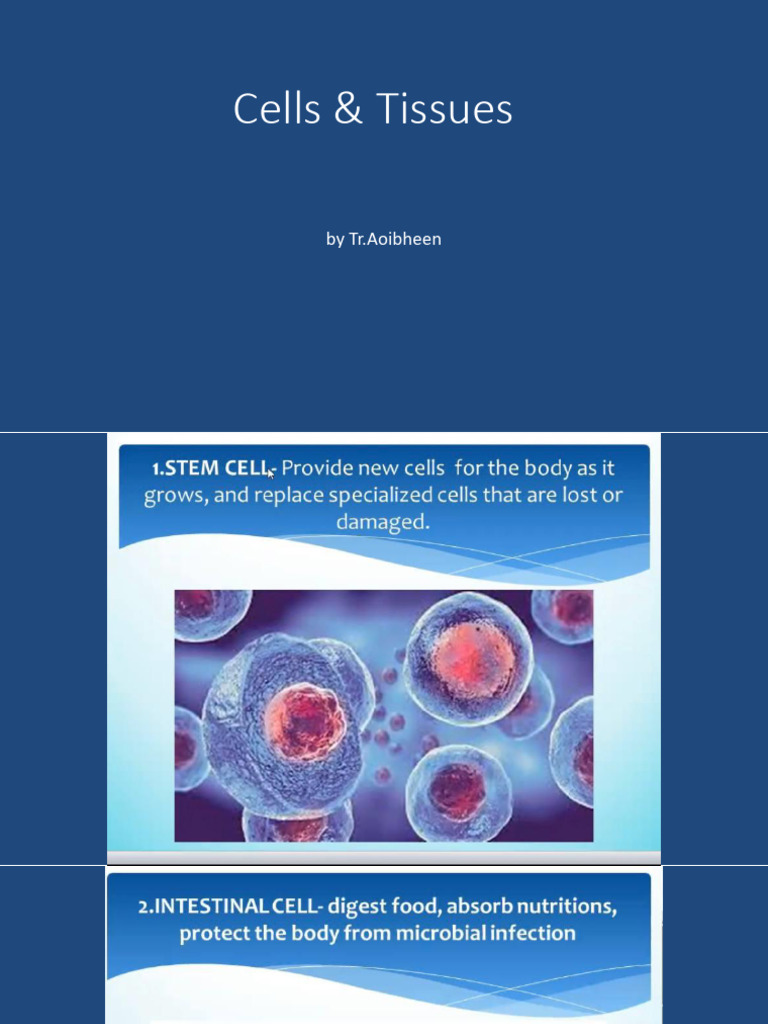 Cells & Tissues | PDF