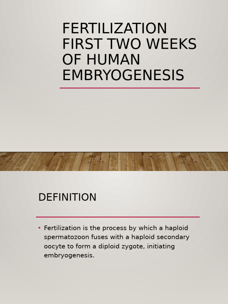 Human Embryogenesis: Fertilization Overview | PDF | Fertilisation ...