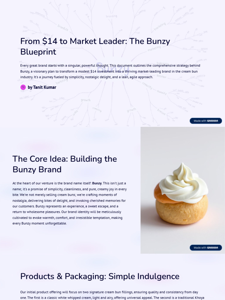 From Dollar14 To Market Leader The Bunzy Blueprint | PDF | Brand ...
