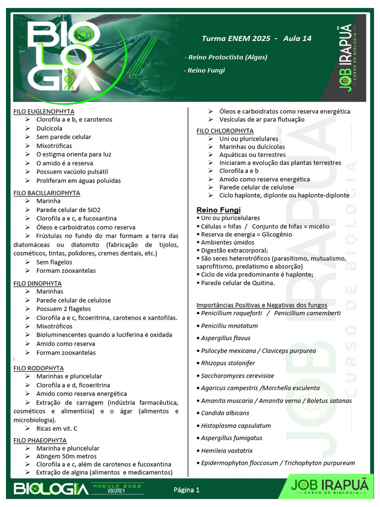 Aula 14 - Algas e Fungos | PDF | Fungo | Biologia