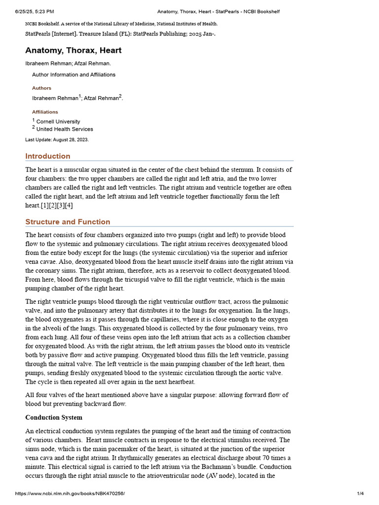 Anatomy, Thorax, Heart - StatPearls - NCBI Bookshelf | PDF | Atrium ...