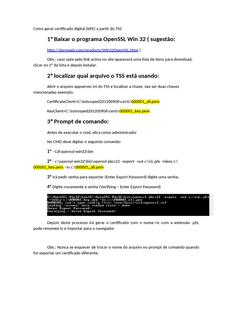 Gerando Certificado Digital no TSS | PDF