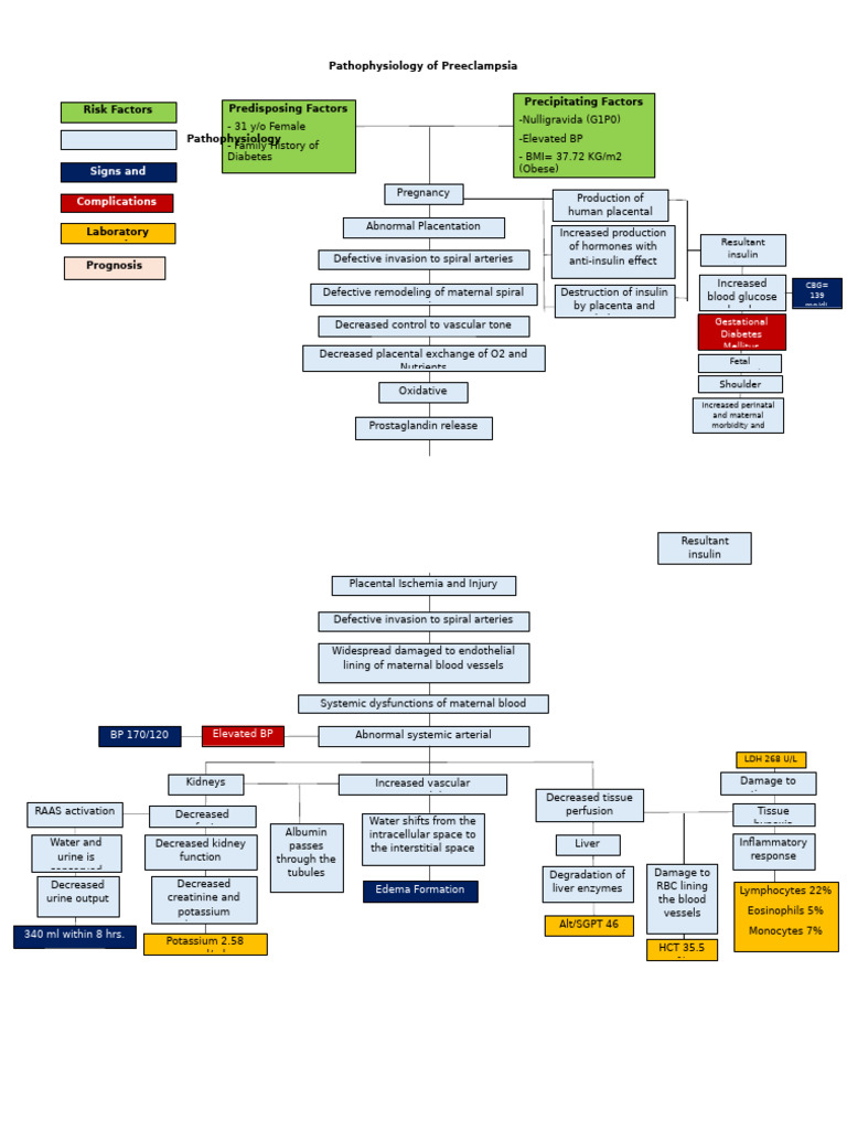 Preeclampsia Pathophysiooooooo0000 Not Finalll | PDF | Physiology | Diseases And Disorders
