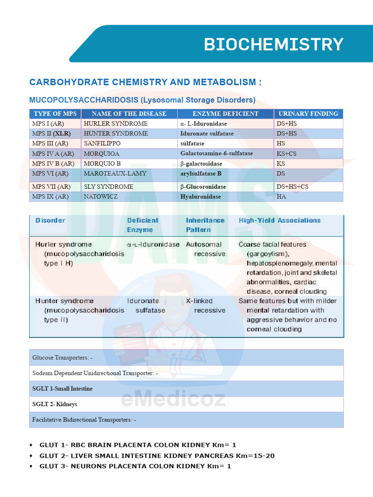 Biochemistry LRR Workbook | PDF | Dna Replication | Dna