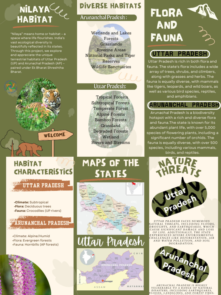 Nilaya Habitat (Rirekisho (A3) ) | PDF | Forests | Habitat