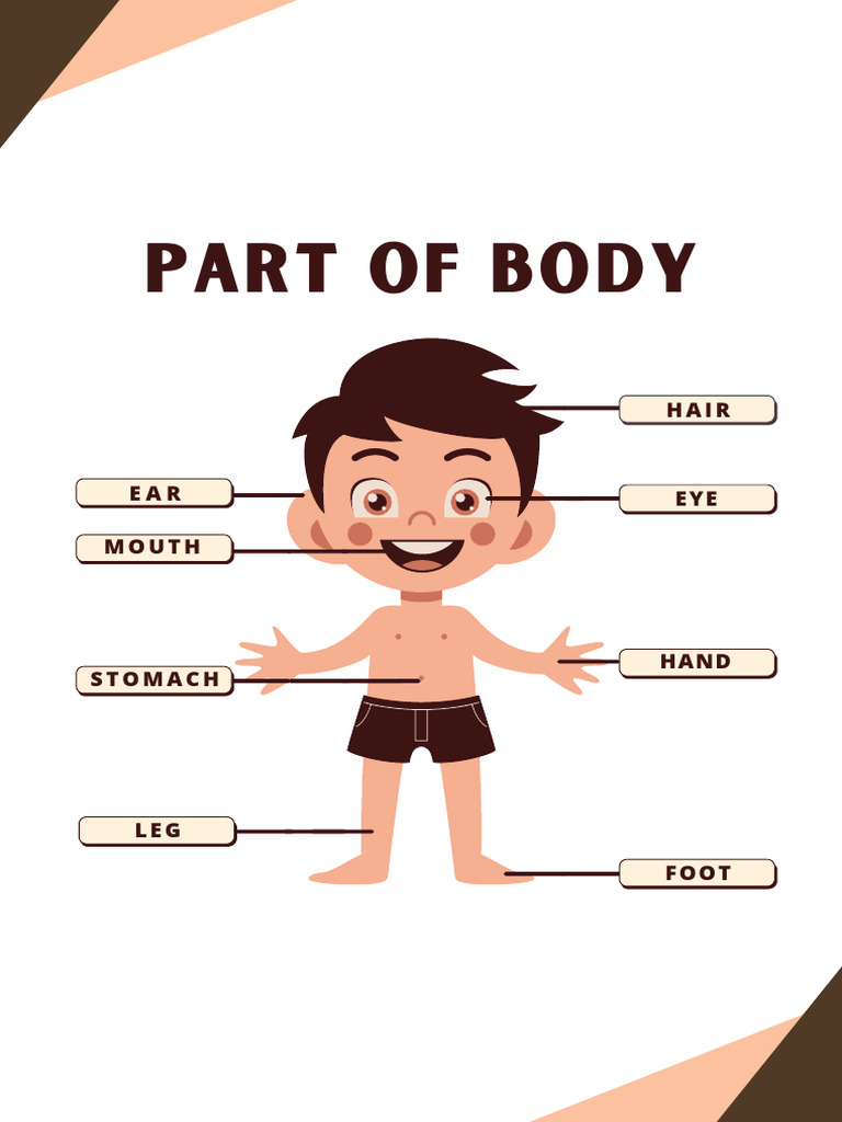Colorful Illustrative Part of The Body Poster | PDF