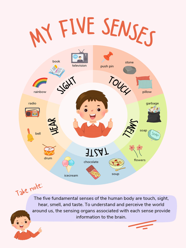 Colorful Illustrative My Five Senses Poster | PDF