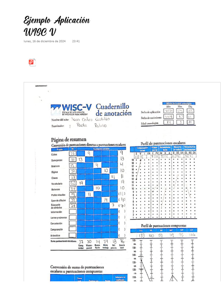 Ejemplo Aplicación WISC V | PDF