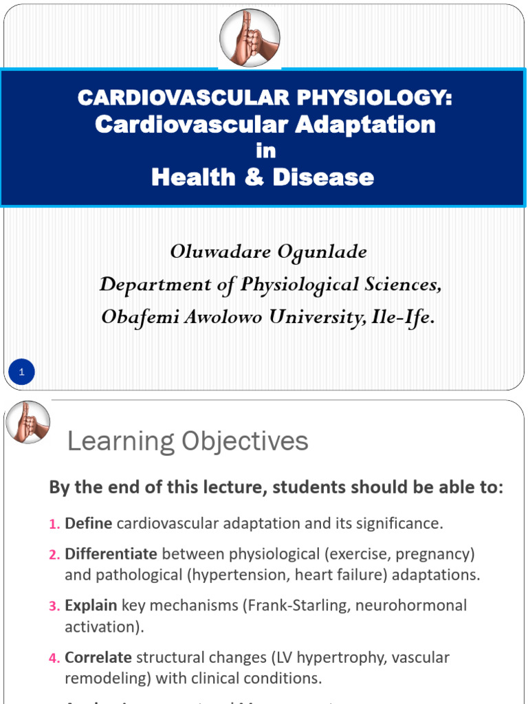Cardiovascular Adaptation in Health & Disease | PDF | Heart | Heart Failure