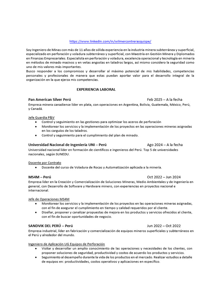 Ingeniero de Minas con 11 Años de Experiencia | PDF | Minería | Perú
