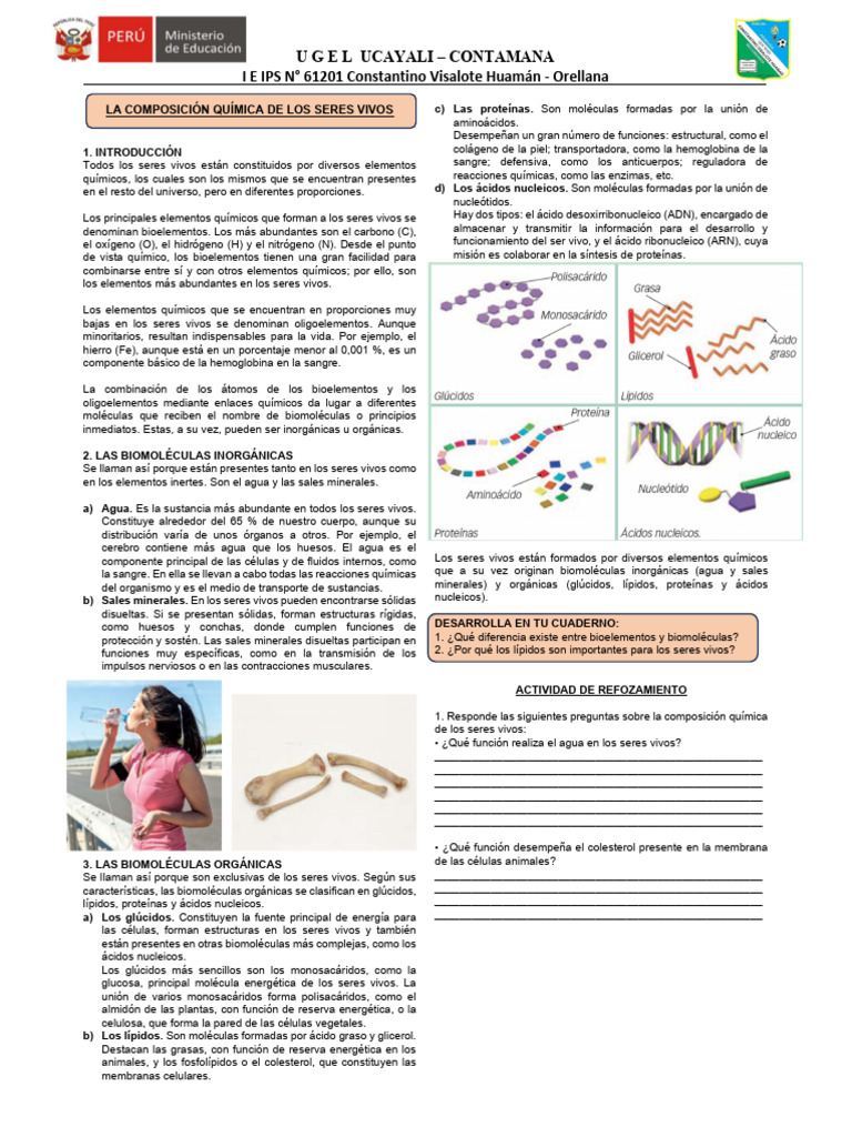 Sesion 1 - 2u 2do 2025 Anexo | PDF | Organismos | Carbohidratos