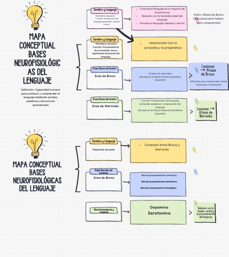 Mapa Conceptual Bases Neurofisiológicas Del Lenguaje | PDF | Afasia | Sistema nervioso central