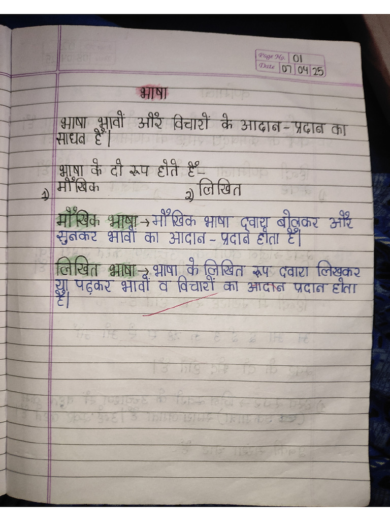 Hindi Notebook Work | PDF