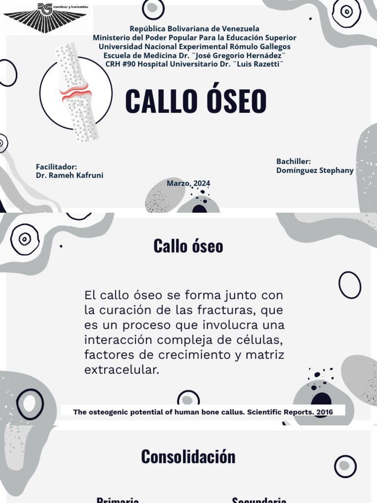 Proceso de Formación del Callo Óseo | PDF | Hueso | Biología Celular
