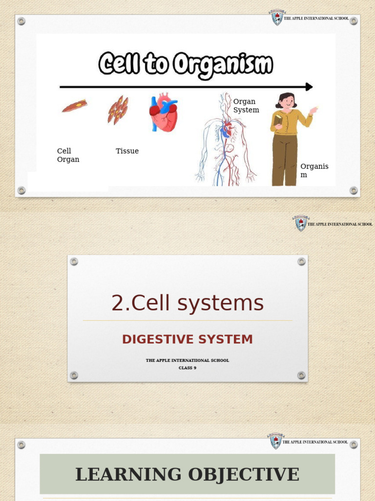 CHAPTER 2 PART 1 Cell Systems - Digestion | PDF | Digestion ...