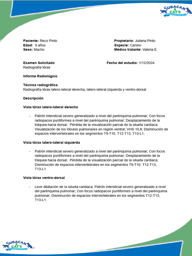 Reporte RX Reco Pinto | PDF