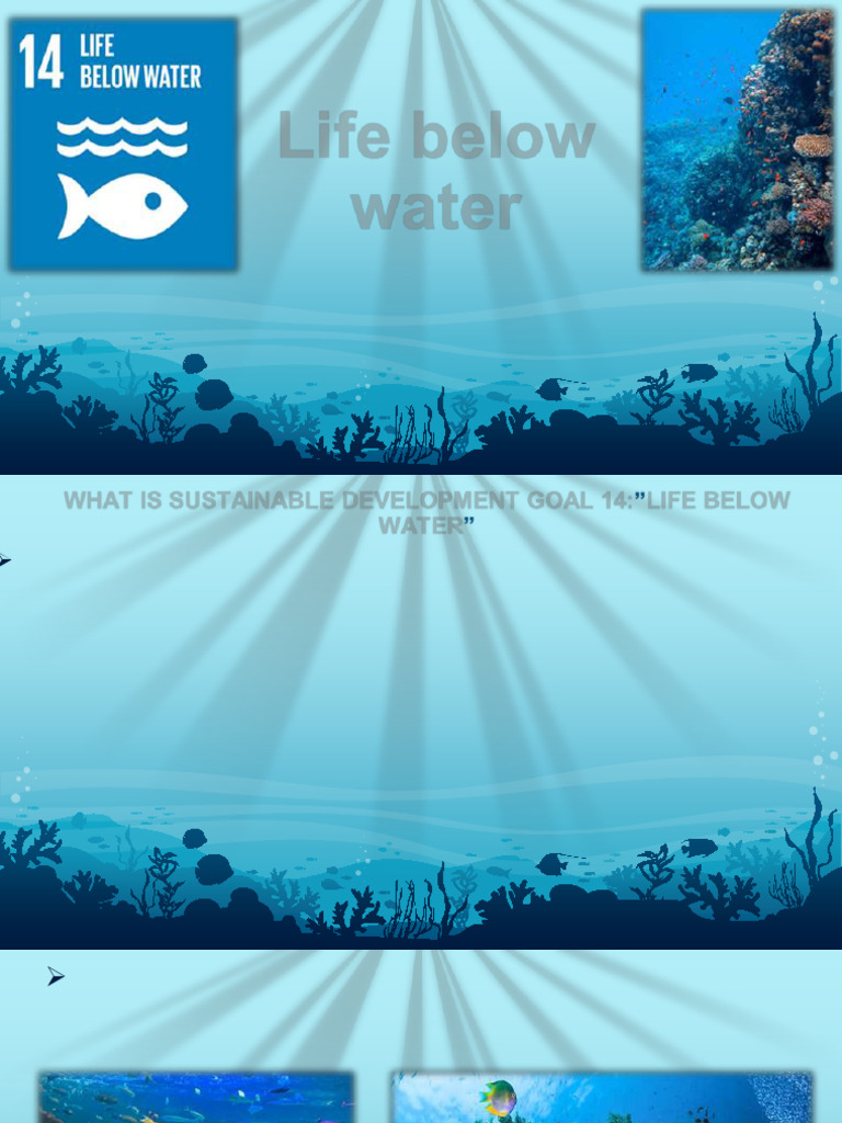 Understanding SDG 14: Life Below Water | PDF | Oceans | Color