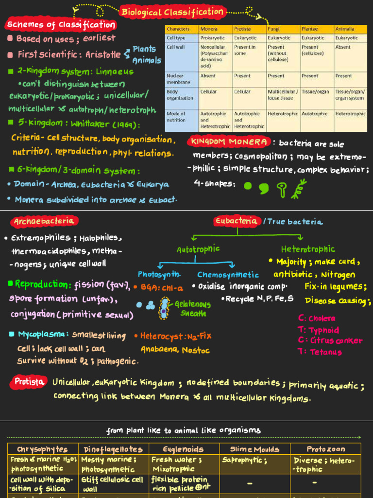 2 Biological Classification (One Shot) : Class Notes - NEET Mind Map | PDF