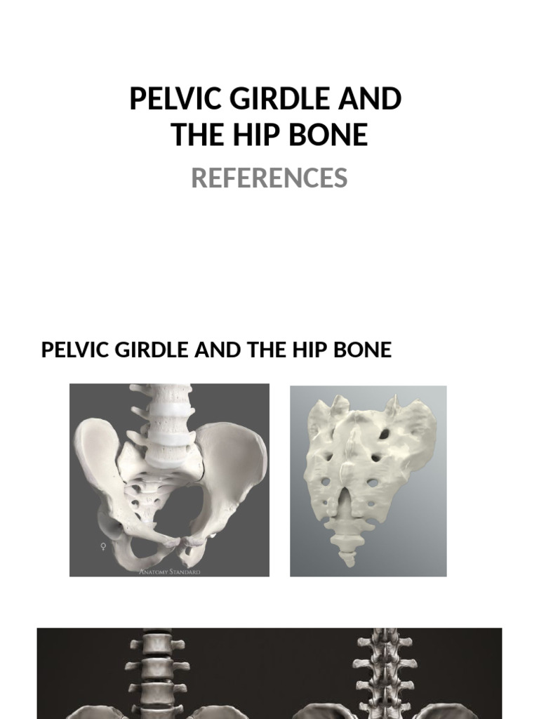 Pelvic Girdle and The Hip Bones References | PDF