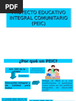 Orientaciones Peic | PDF | Pedagogía | Maestros