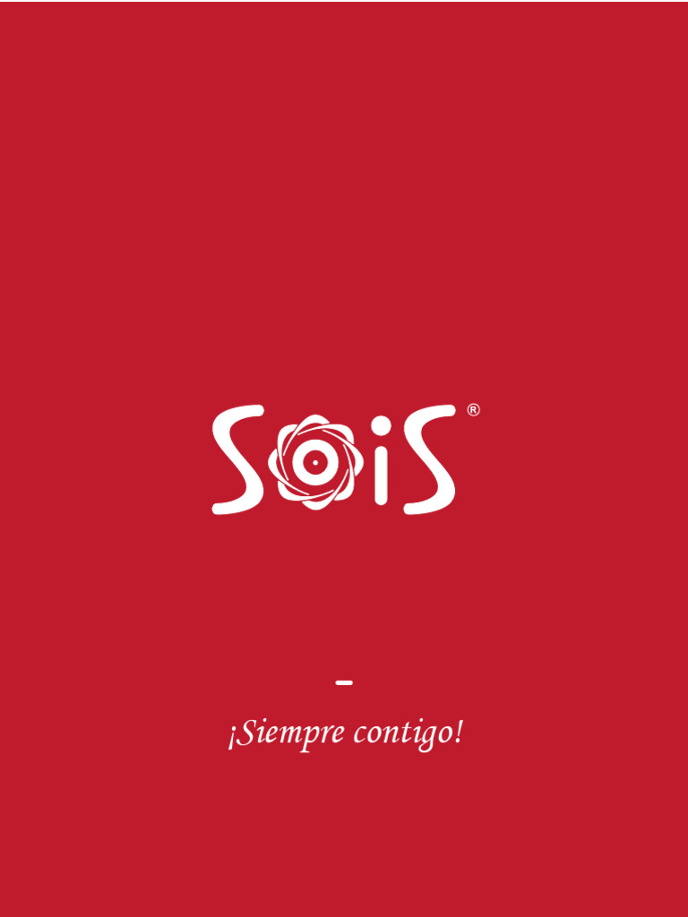 Manual de Marca - SOIS | PDF