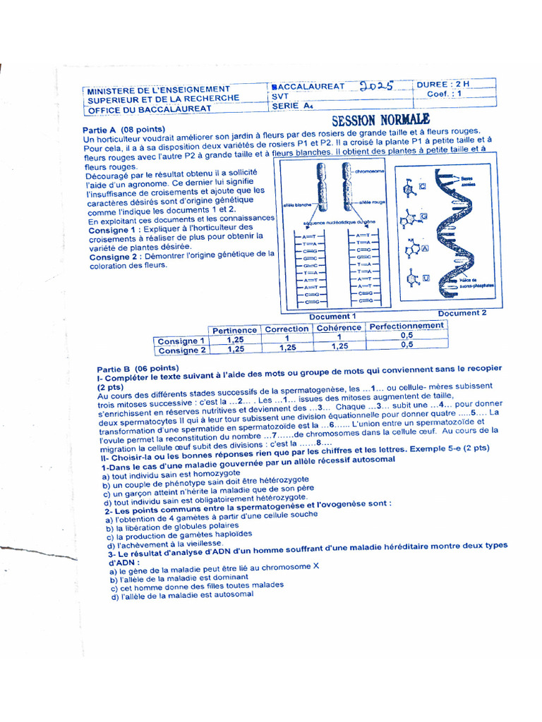 Bac2 2025 SVT A4 | PDF