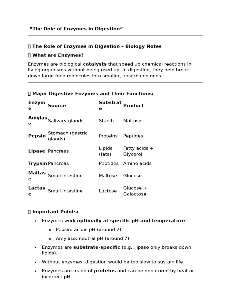 The Role of Enzymes in Digestion | PDF