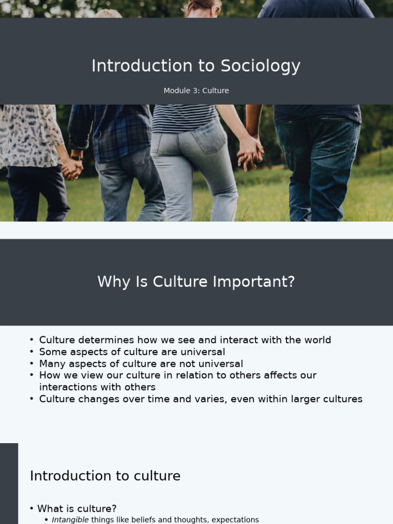 Sociology CH 3 Culture | PDF | Society | Liberal Arts Education