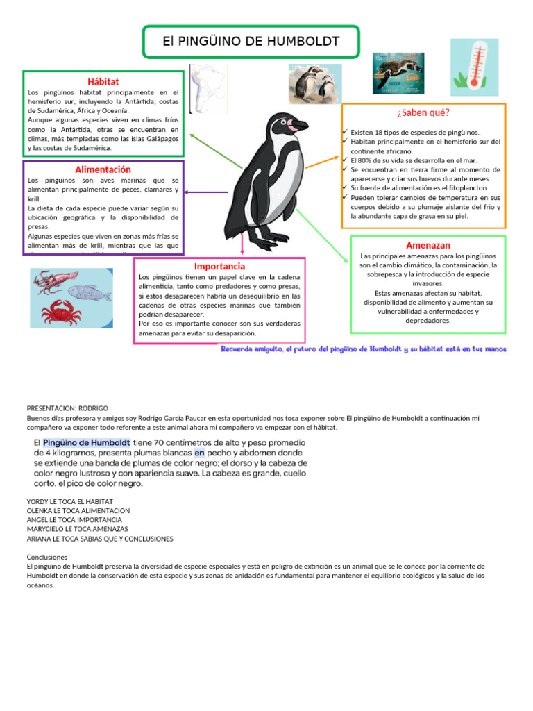 Infografia de Los Pinguinos | PDF | Pingüino | Habitat