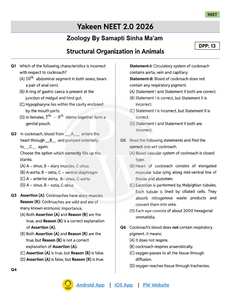 Structuby Samapti Sinha Ma'Am | PDF