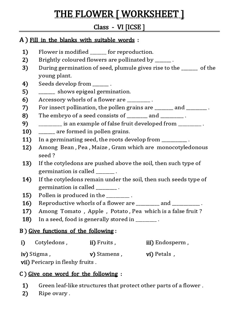 Class 6 ICSE Flower Worksheet | PDF | Seed | Flowers