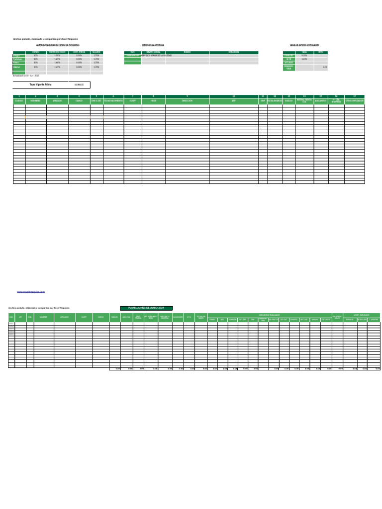 Planilla de Remuneraciones y Boletas de Pago - Ejercicio | PDF | Pensión | Distribución de ...