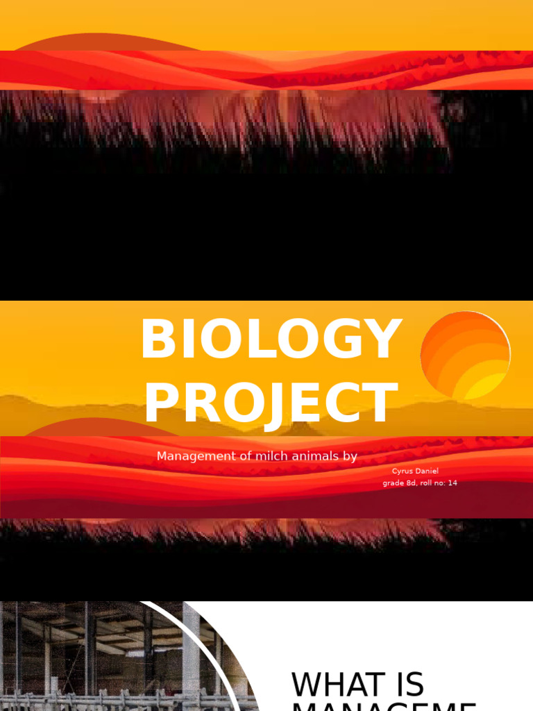 Biology Project Grade 8 | PDF | Milk | Cattle